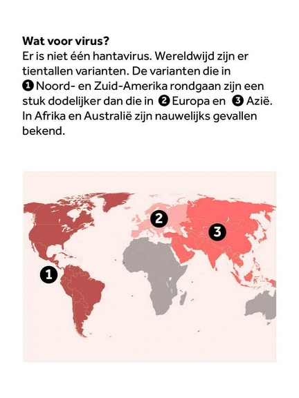 Traceren hantavirus na uitbraak op Hondius is wereldwijde operatie: een ...