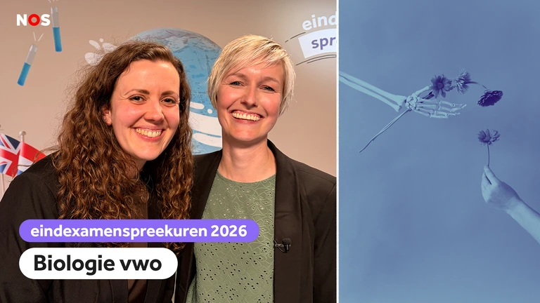 Eindexamenspreekuur Duits vmbo gl/tl | NOS Stories