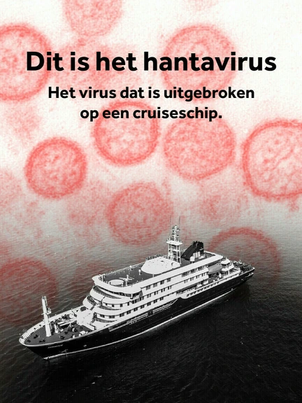 Traceren hantavirus na uitbraak op Hondius is wereldwijde operatie: een ...