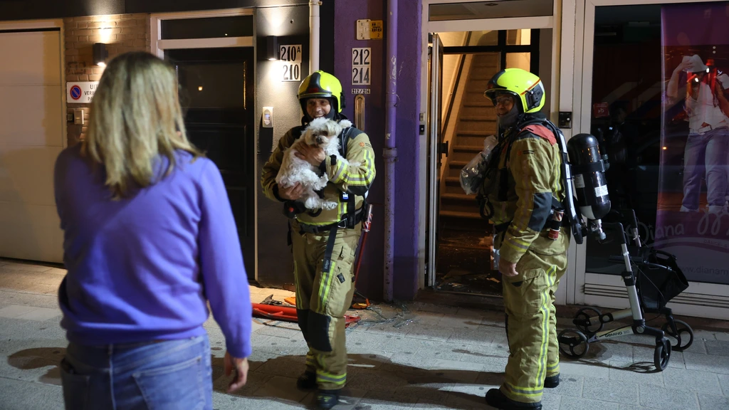 Veel rook bij brand in Scheveningse woonwijk, woningen ontruimd