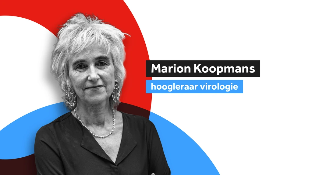 Oud-minister Bruins gehoord • Koopmans: er was verhitte discussie over ...
