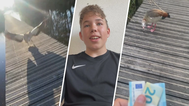 Luciano maakt filmpjes met boze gans: 'Kapot grappig'