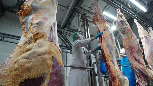 5700 overtredingen in slachthuizen in zes maanden: 'Het moet beter'