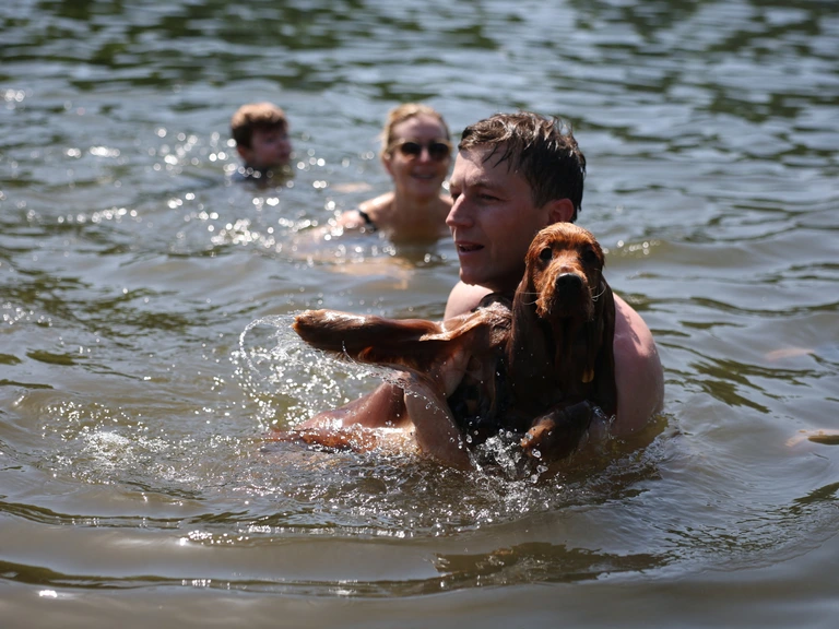 Hitterecords sneuvelen in Frankrijk en VK: temperaturen ver boven 30 graden