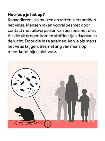 Traceren hantavirus na uitbraak op Hondius is wereldwijde operatie: een ...