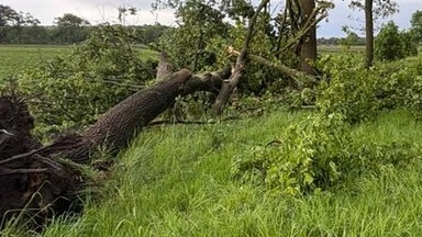 Schade aan daken, auto's en bomen in Eersel door windhoos